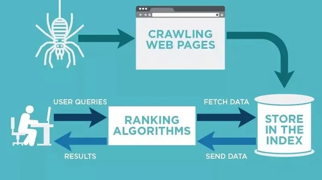 What is a Web Crawler? (In 50 Words or Less)